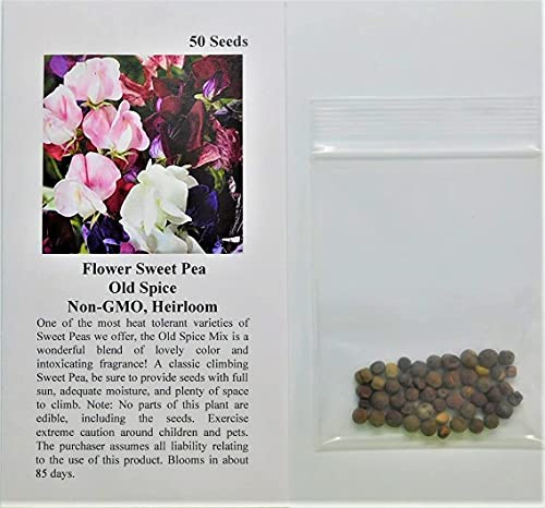 David's Garden Seeds Flower Sweet Pea Old Spice FBA-9155 (Multi) 50 Non-GMO, Heirloom Seeds