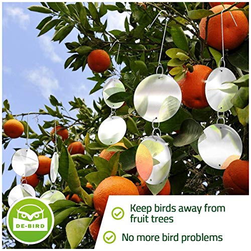 De-Bird Bundle Includes: 8 pk Reflective Repellent Disks & Heavy Duty Bird Netting to Keep Away Woodpecker, Pigeons, and Protect Plants & Fruit Trees