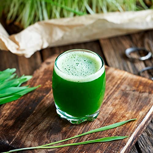 Back to the Roots Organic Wheatgrass Seeds β 2lb Non-GMO Value Pack; Great for Growing Nutritious Wheatgrass, Also Catgrass (Natural Hairball Remedy for Cats)