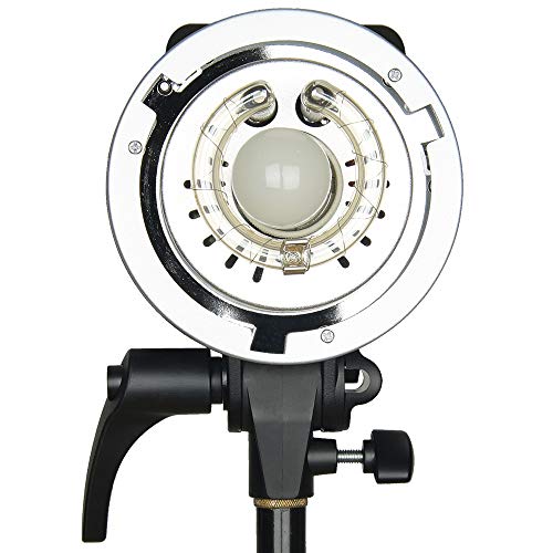 Godox MS300 Compact Studio Flash 300W 2.4G Wireless Monolight with 150W Modeling Lamp,Outstanding Power Output Stability,Anti-Preflash,Bowens Mount,5600±200K CCT,0.1~1.8S Recycle Time