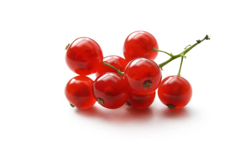 Bobby Courtyard 100 Pcs Red Lake Currant Seeds Currant Ribes Fruit Shrub Seeds - Fruit Tree Plant Seeds for Planting Home Garden