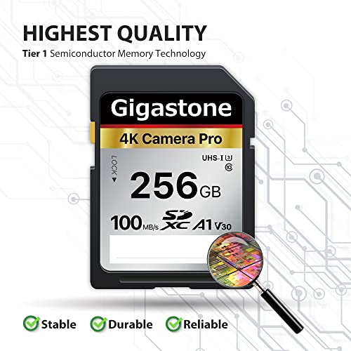 Gigastone 256GB SD Card V30 SDXC Memory Card High Speed 4K Ultra HD UHD Video Compatible with Canon Nikon Sony Pentax Kodak Olympus Panasonic Digital Camera, with 1 Mini case