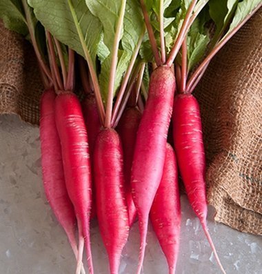 David's Garden Seeds Radish Shunkyo Semi-Long 6611 (Pink) 200 Non-GMO, Heirloom Seeds
