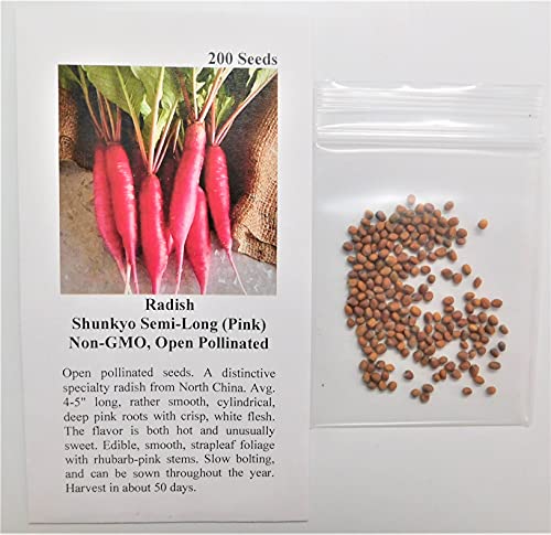David's Garden Seeds Radish Shunkyo Semi-Long 6611 (Pink) 200 Non-GMO, Heirloom Seeds
