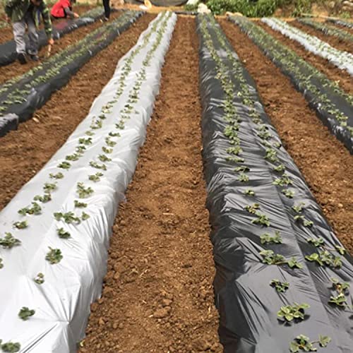 HFS(R) 1 Mil LLDPE Silver Black Metallic Plastic Mulch Plastic Film for Fruits, Vegetables, Crops, Greenhouse, Garden (4FTX50FT)