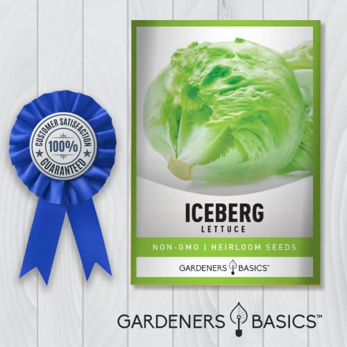 Iceberg Lettuce Seeds for Planting - (Head) Heirloom, Non-GMO Vegetable Variety- 2 Grams Seeds Great for Spring, Summer, Fall, Winter Garden and Hydroponics by Gardeners Basics
