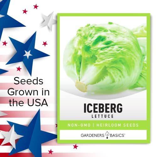Iceberg Lettuce Seeds for Planting - (Head) Heirloom, Non-GMO Vegetable Variety- 2 Grams Seeds Great for Spring, Summer, Fall, Winter Garden and Hydroponics by Gardeners Basics