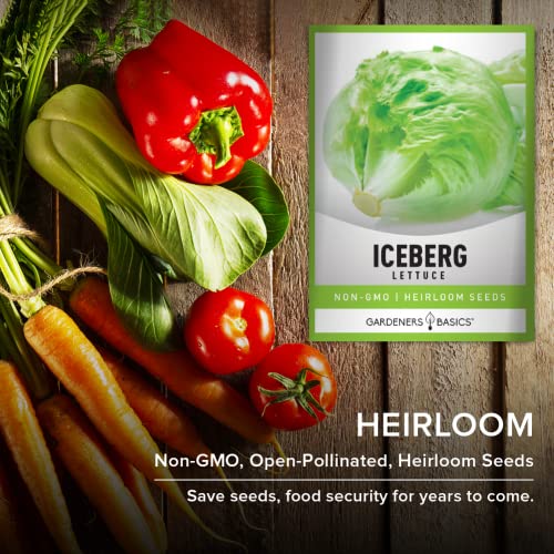 Iceberg Lettuce Seeds for Planting - (Head) Heirloom, Non-GMO Vegetable Variety- 2 Grams Seeds Great for Spring, Summer, Fall, Winter Garden and Hydroponics by Gardeners Basics