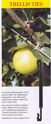 Klipon Doyle's Thornless BlackBerry Recommends Trellis Ties 4 Inch 100 Pack
