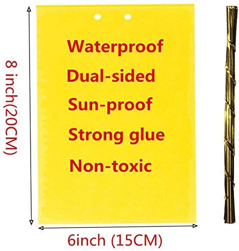 BestTrap ST2035 Sticky Traps, Flying Traps for Fruit Fly, Fungus Gnats, Aphids, Other Flying Insects, 6x8 Inch, 20 Pack - Yellow