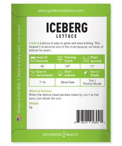 Iceberg Lettuce Seeds for Planting - (Head) Heirloom, Non-GMO Vegetable Variety- 2 Grams Seeds Great for Spring, Summer, Fall, Winter Garden and Hydroponics by Gardeners Basics