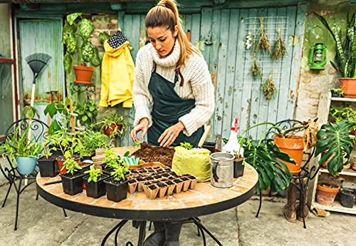 Indoor Live Herb Garden & Plant Seed Starter Kit - DIY Transplanting Kit for Beginners & Kids | Includes Seeds, Soil, Pots, Markers, Instructions, & Grinder | Parsley, Basil, Cilantro, & Chive Seeds