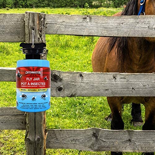 Reusable Trap Fly Jar by Catchmaster - 6 Count, Ready to Use Outdoors. Flying Insect BugTrap, Water Soluble Attract Attractant Scent. Blowfly Trap Captures Hundreds of Common Flies - Made in The USA