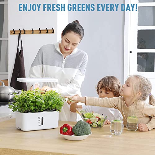 Ahopegarden Indoor Garden Hydroponic Growing System with 60pcs Grow Sponge Replacement