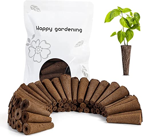 Ahopegarden Indoor Garden Hydroponic Growing System with 60pcs Grow Sponge Replacement