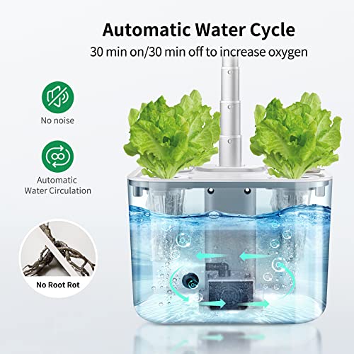 Ahopegarden Indoor Garden Hydroponic Growing System with 60pcs Grow Sponge Replacement
