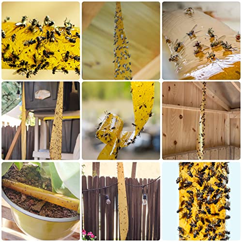 40 Pack Fly Strips Indoor Sticky Hanging, Fly Paper Strips Indoor Hanging, Fruit Fly Traps for Indoors/Outdoors, Fly Trap Fly Catcher Gnat Traps for House Fruit Flies