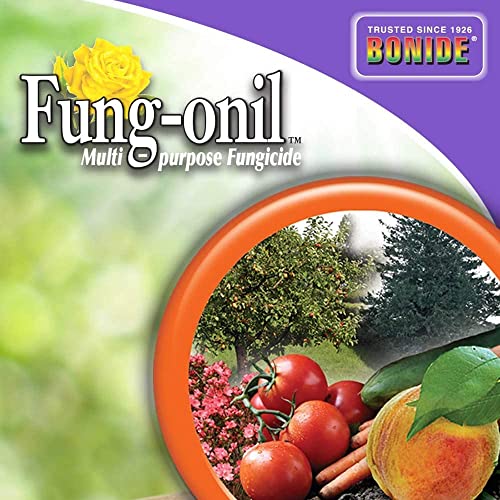 Bonide Products 4410 Ready-to-Use Fungicide, 32-Ounce, Pack of 3