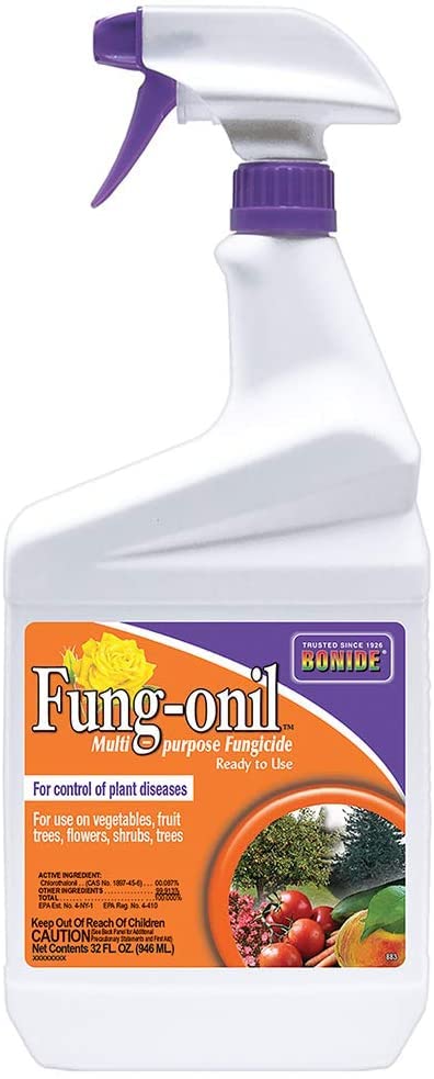 Bonide Products 4410 Ready-to-Use Fungicide, 32-Ounce, Pack of 3