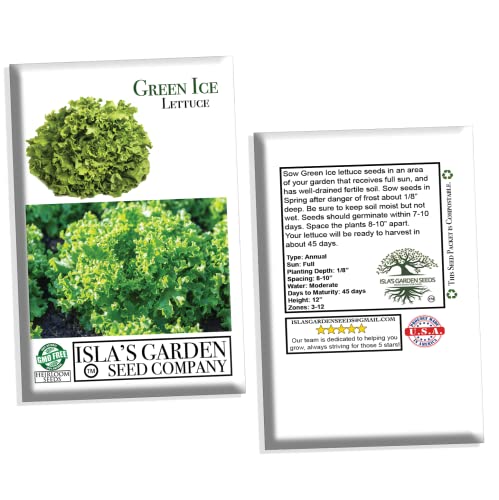 Green Ice Leaf Lettuce Seeds for Planting, 1000+ Heirloom Seeds Per Packet, (Isla's Garden Seeds), Non GMO Seeds, Botanical Name: Lactuca Sativa, Great Home Garden Gift