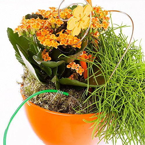 Yardeen Micro Automatic Drip Irrigation Kit Self Watering System Sprinkler Controller for Indoor Potted Plants Color Green