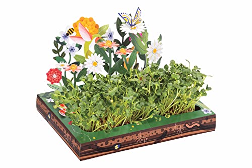 Modern Sprout Interactive Microgreens Garden Kit for Kids, Indoor Seed Activity Kit, for Little Growers, Pollinator Habitat