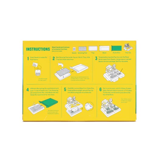 Modern Sprout Interactive Microgreens Garden Kit for Kids, Indoor Seed Activity Kit, for Little Growers, Pollinator Habitat