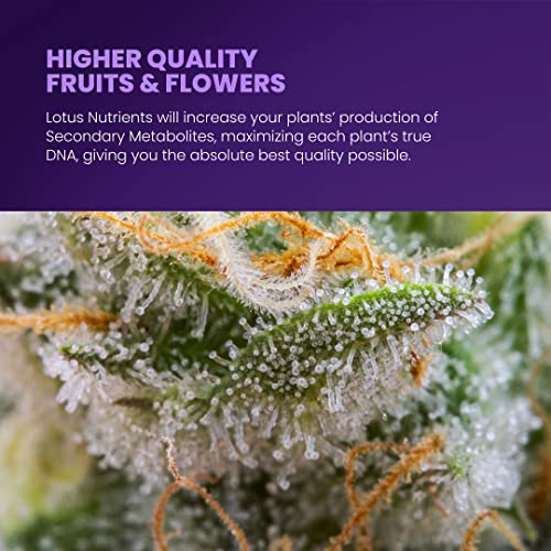 Lotus Nutrients Carboflush Pro Series, All Natural Premium Powdered Plant Nutrients for Flushing Indoor and Outdoor Gardens Made for Hydroponic, Coco Coir, and Soil (9oz.)