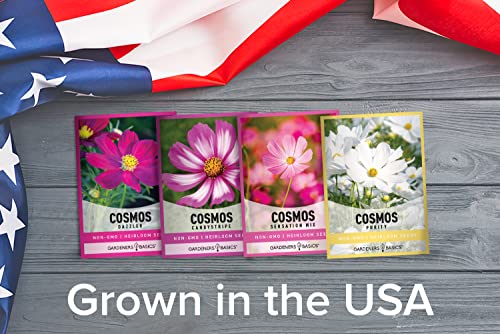 Cosmos Seeds for Planting Outdoors Flower Seeds (4 Variety Pack) Cosmos Candystripe, Sensation Mix, Dazzler, Purity Pink and White Varieties for Bees, Pollinators Wildflower Seed by Gardeners Basics