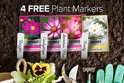 Cosmos Seeds for Planting Outdoors Flower Seeds (4 Variety Pack) Cosmos Candystripe, Sensation Mix, Dazzler, Purity Pink and White Varieties for Bees, Pollinators Wildflower Seed by Gardeners Basics