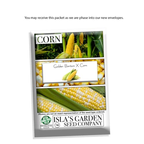 Golden X Bantom Corn Seeds for Planting, 50+ Heirloom Seeds Per Packet, (Isla's Garden Seeds), Non GMO Seeds, Botanical Name: Zea mays, Great Home Garden Gift