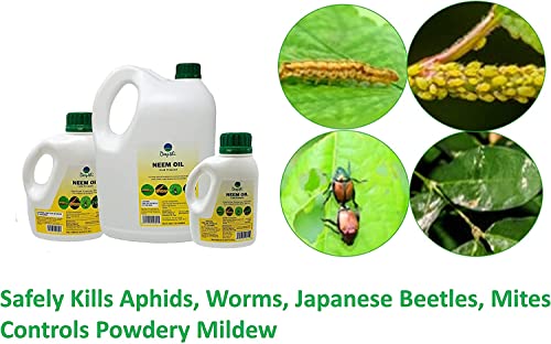 Deepthi Pure Neem Oil for Plants - Concentrated - Cold Pressed - Spray for Indoor Outdoor Garden - 100% Neem Oil - Natural Insecticide – Controls Mildew - 16.9 Fluid Oz (500 ml)