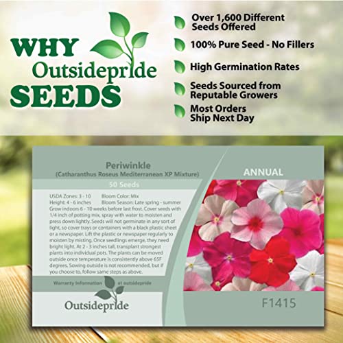 Outsidepride Vinca Periwinkle Mediterranean XP Garden Flower, Ground Cover, & Container Plant Mix - 50 Seeds