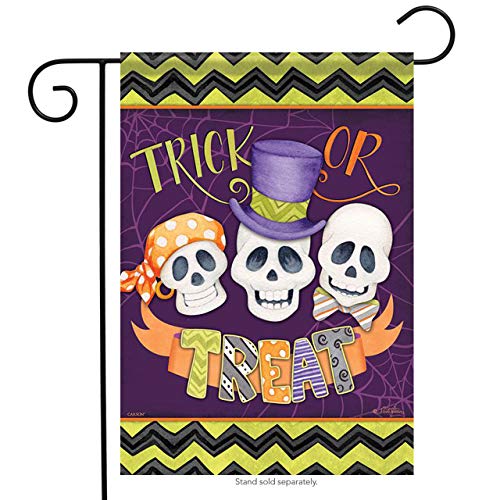 US Flag Store 49047 Carson Garden Flag, Purple, Yellow, Black, White, Orange