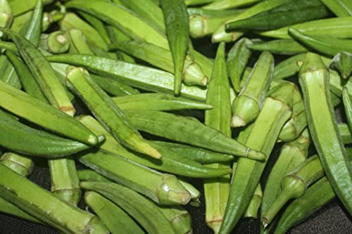 TKE Farms-Clemson Spineless Okra Seeds for Planting, 6 Grams β 100 Seeds, Abelmoschus esculentus