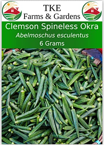TKE Farms-Clemson Spineless Okra Seeds for Planting, 6 Grams β 100 Seeds, Abelmoschus esculentus