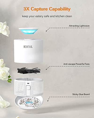 NONTAIL Fruit Fly Traps for Indoors, Mosquito Trap, Catcher & Killer for Gnat, Moth, Flies, Non-Zapper Insect Traps with UV Light Fan & Sticky Glue