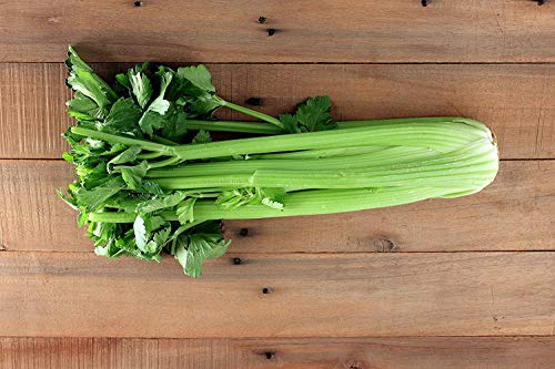 Gaea's Blessing Seeds - Celery Seeds - Tall Utah 52-70 Heirloom Non-GMO with Easy to Follow Instructions 89% Germination Rate Net Wt. 1.25g