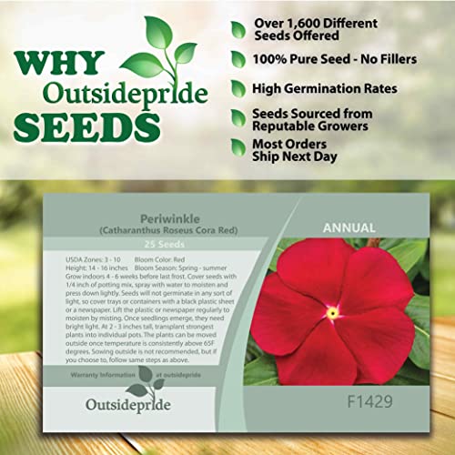 Outsidepride Vinca Periwinkle Cora Red Garden Flower, Ground Cover, & Container Plants - 25 Seeds