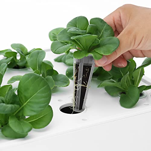 iDOO 12Pods Indoor Garden & 60pcs Baskets