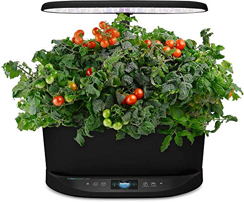 AeroGarden Bounty - Indoor Garden with LED Grow Light, WiFi and Alexa Compatible, Black & Heirloom Salad Greens Seed Pod Kit (9-pod)