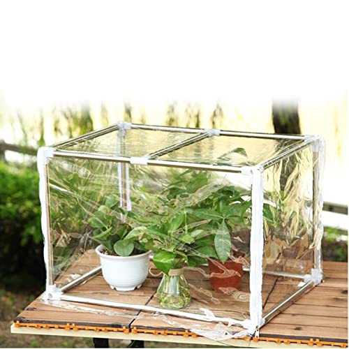 MAHFEI Green Houses for The Garden, Home Plant Insulation Shed Zipper Door Easy to Assemble Easy to Carry Strong Stability for Rainproof, Windproof and Frostproof (Color : Clear, Size : 80x30x30cm)