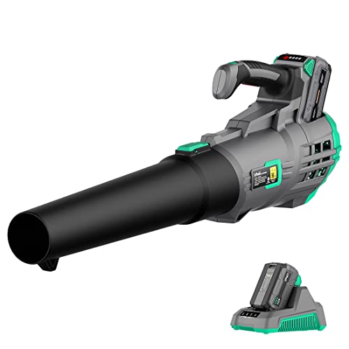 Litheli Cordless Leaf Blower 40V, Battery Leaf Blowers for Lawn Care, Lightweight Axial Blower for Blowing Leaf, Dust, Debris, with 2.0Ah Battery & Charger Included