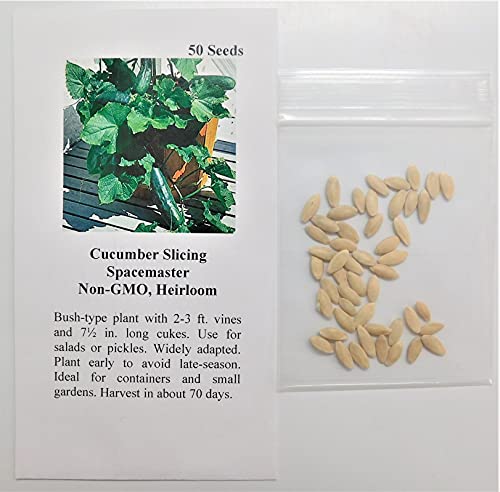 David's Garden Seeds Cucumber Slicing Spacemaster 9321 (Green) 50 Non-GMO, Heirloom Seeds