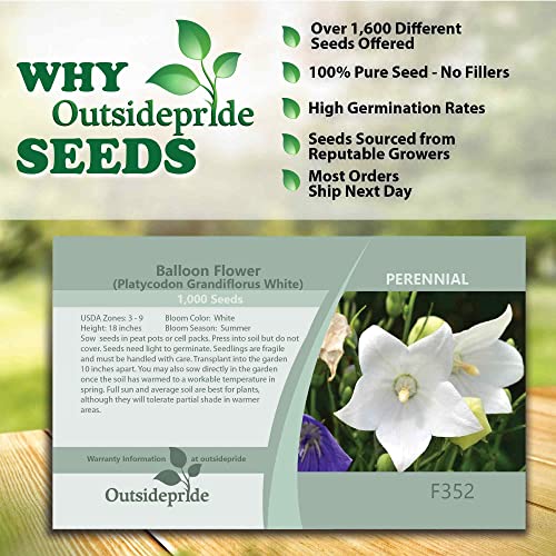 Outsidepride Balloon Flower White Platycodon Grandiflorus Garden Plant Seed - 1000 Seeds