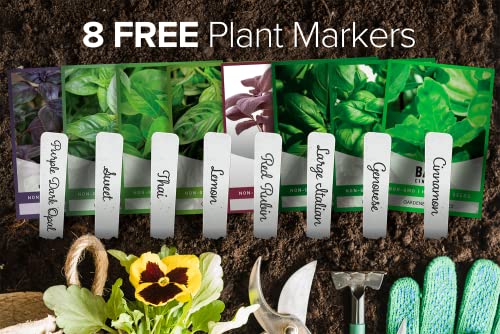 Basil Seeds for Planting Home Garden - 8 Variety Herb Pack Genovese, Large Leaf, Lemon, Thai, Red Rubin, Cinnamon, Sweet and Purple Opal Basil Herb Seeds for Indoors & Outdoors by Gardeners Basics