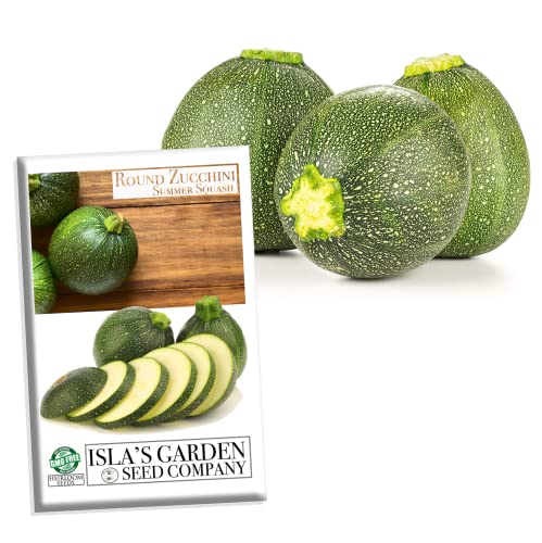 Round Zucchini Summer Squash Seeds for Planting, (Eight Ball Zucchini), 40+ Heirloom Seeds Per Packet, (Isla's Garden Seeds), Non GMO Seeds, Botanical Name: Cucurbirta Pepo