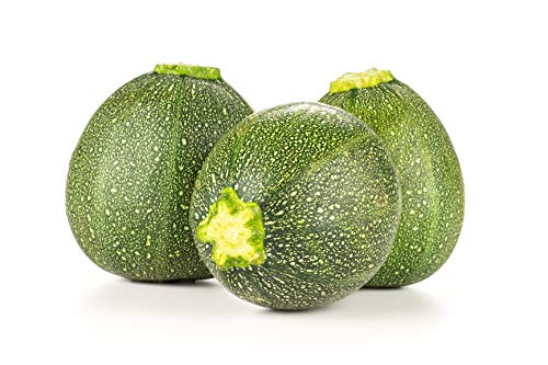 Round Zucchini Summer Squash Seeds for Planting, (Eight Ball Zucchini), 40+ Heirloom Seeds Per Packet, (Isla's Garden Seeds), Non GMO Seeds, Botanical Name: Cucurbirta Pepo