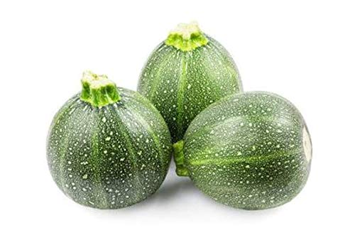Round Zucchini Summer Squash Seeds for Planting, (Eight Ball Zucchini), 40+ Heirloom Seeds Per Packet, (Isla's Garden Seeds), Non GMO Seeds, Botanical Name: Cucurbirta Pepo