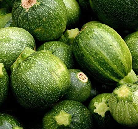 Round Zucchini Summer Squash Seeds for Planting, (Eight Ball Zucchini), 40+ Heirloom Seeds Per Packet, (Isla's Garden Seeds), Non GMO Seeds, Botanical Name: Cucurbirta Pepo